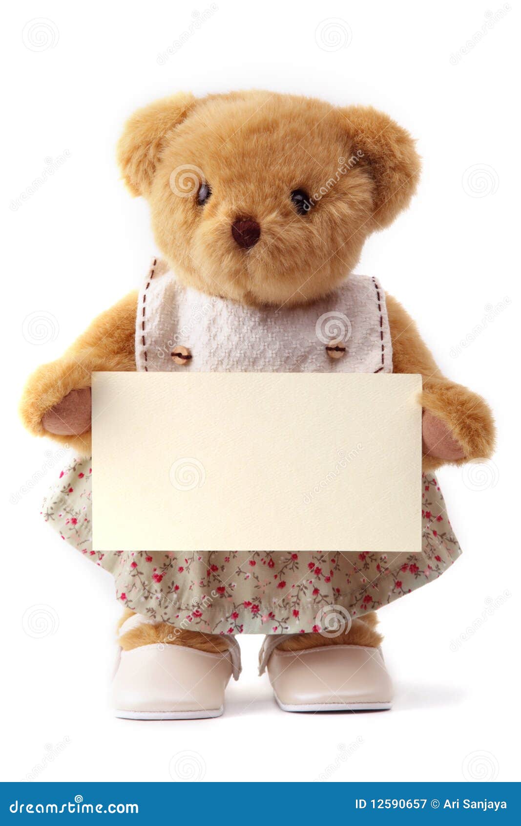 Teddy Bear Holding a Blank Card Stock Image - Image of information ...