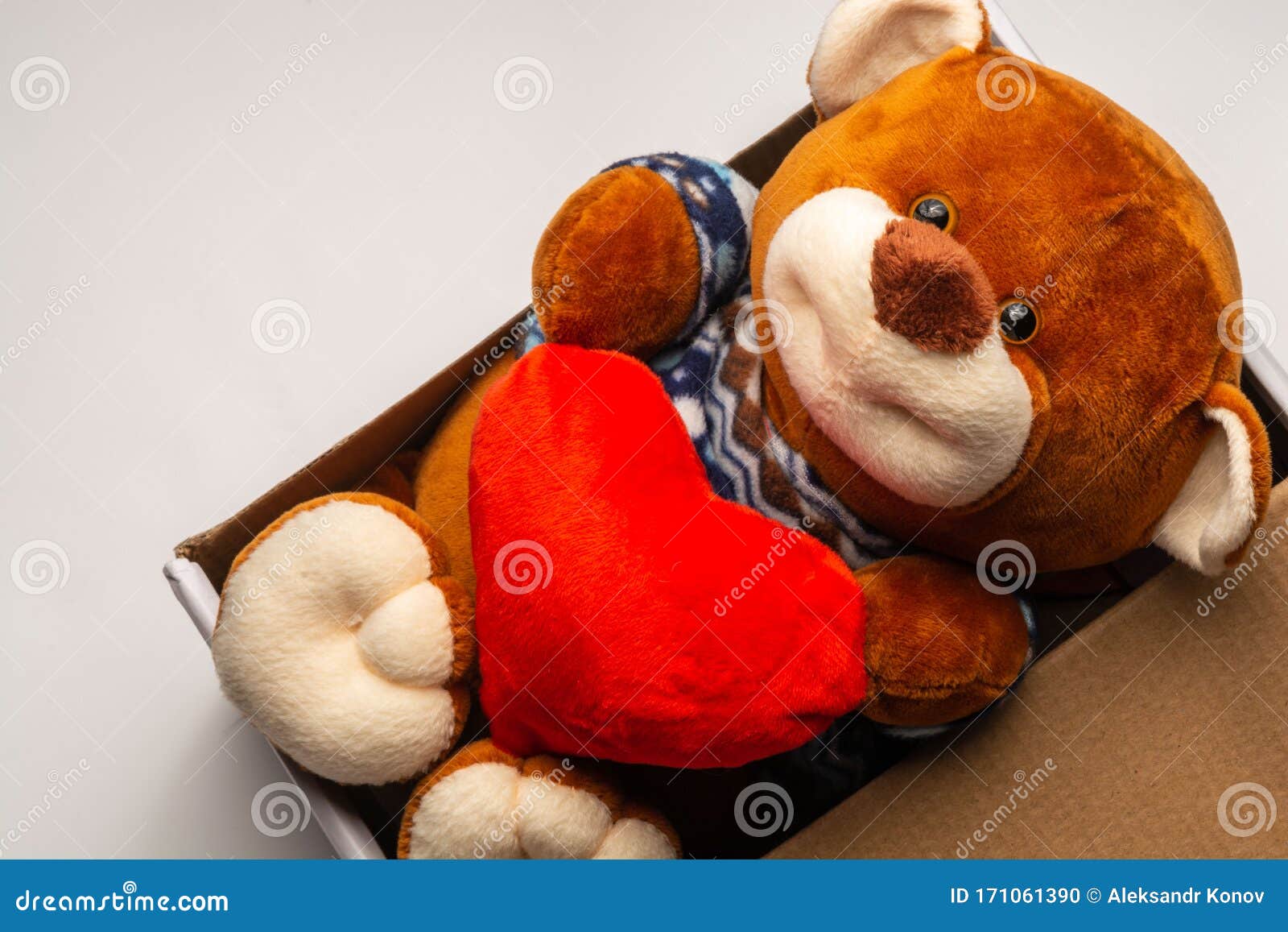 Teddy Bear Holding a Heart Inside the Box on White Background Stock ...