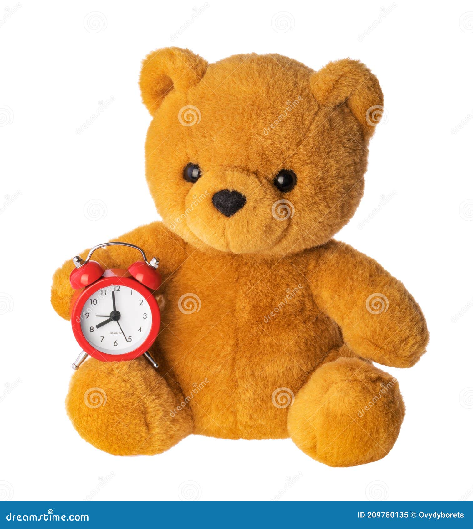 Teddy Bear Holds Clock Isolated on White without Shadow Stock Image ...