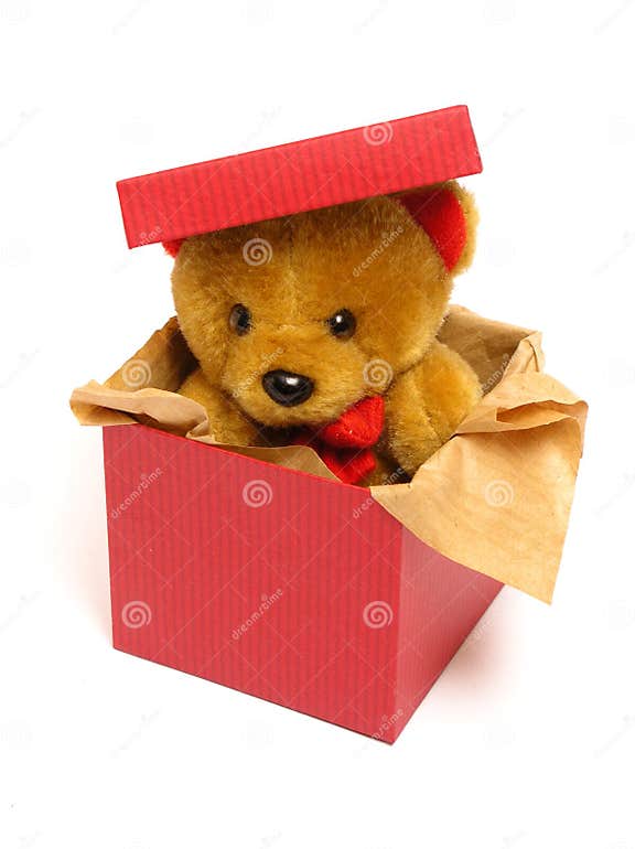 Teddy Bear Inside a Box stock image. Image of holiday, tradition - 226371
