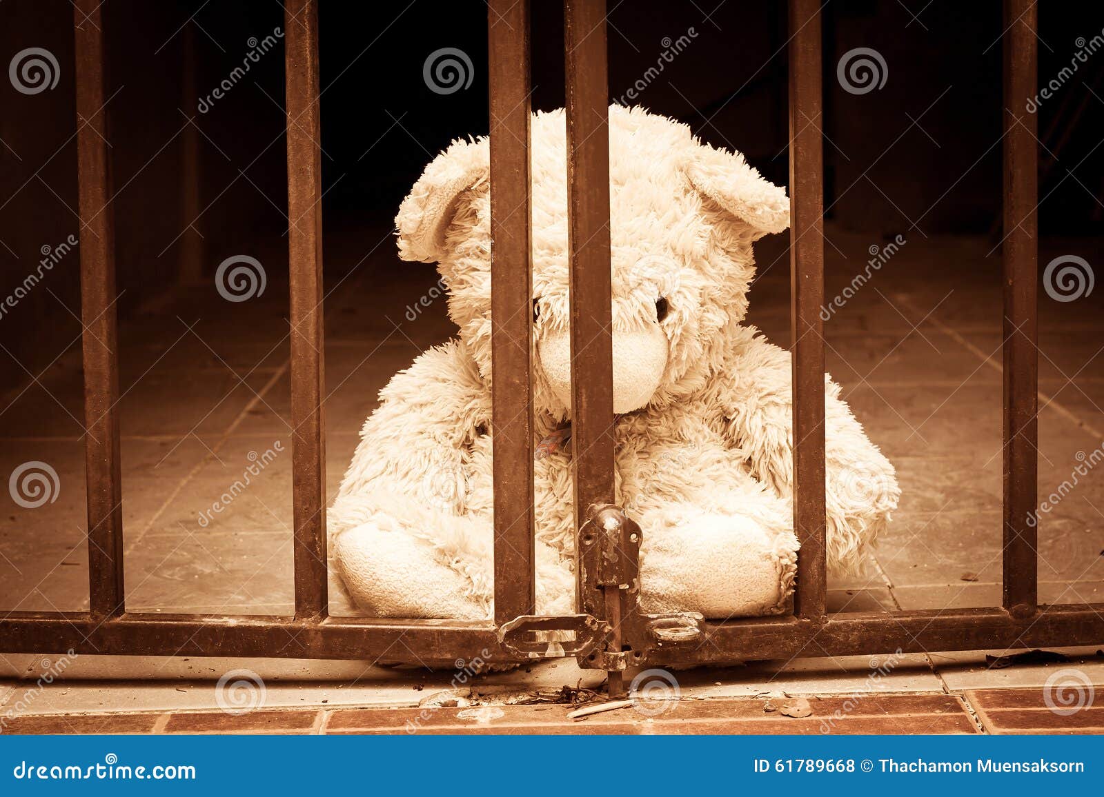 Teddy bear in jail stock photo. Image of dark, metal - 61789668