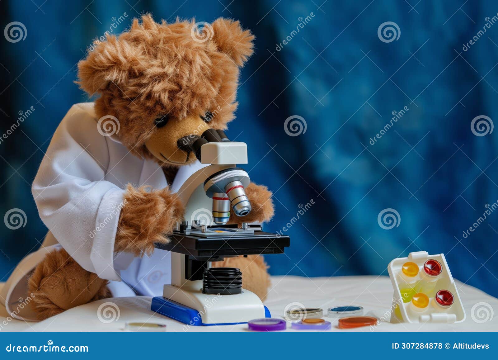 Teddy Bear in a Lab Coat Looking through a Toy Microscope with Slides ...