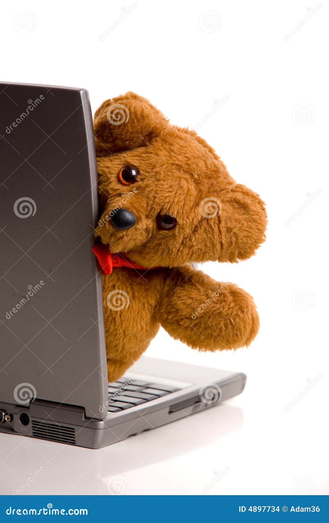 Teddy bear on laptop stock photo. Image of sweet, cute - 4897734