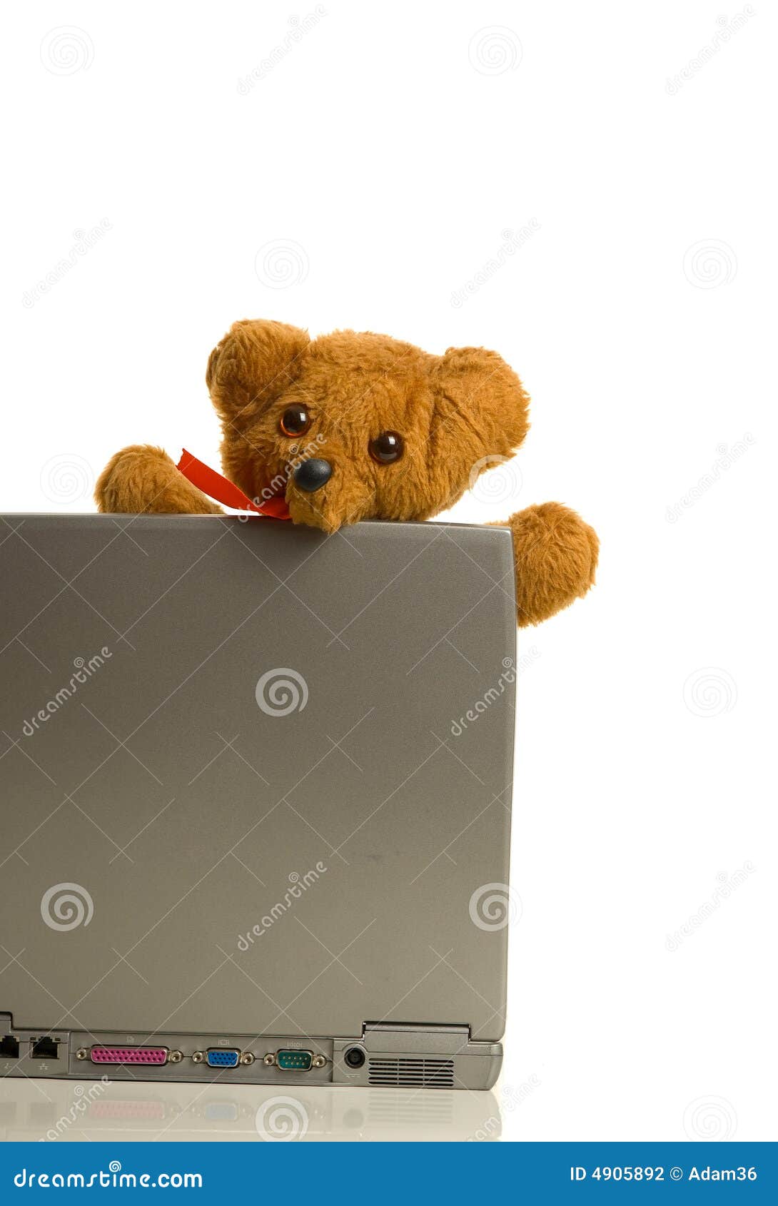 Teddy bear and laptop stock photo. Image of sweet, mascot - 4905892