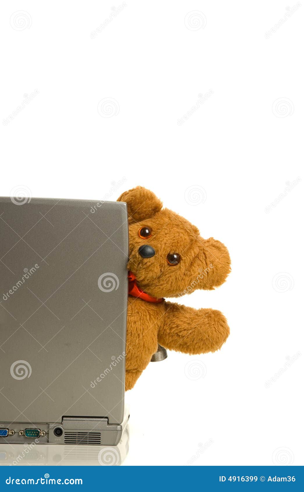 Teddy bear and laptop stock image. Image of computer, playful - 4916399