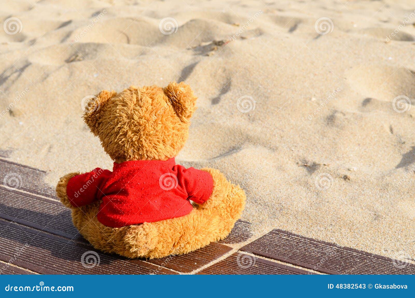 Teddy Bear Left Alone on the Beach in a Sunny Day Stock Image - Image ...