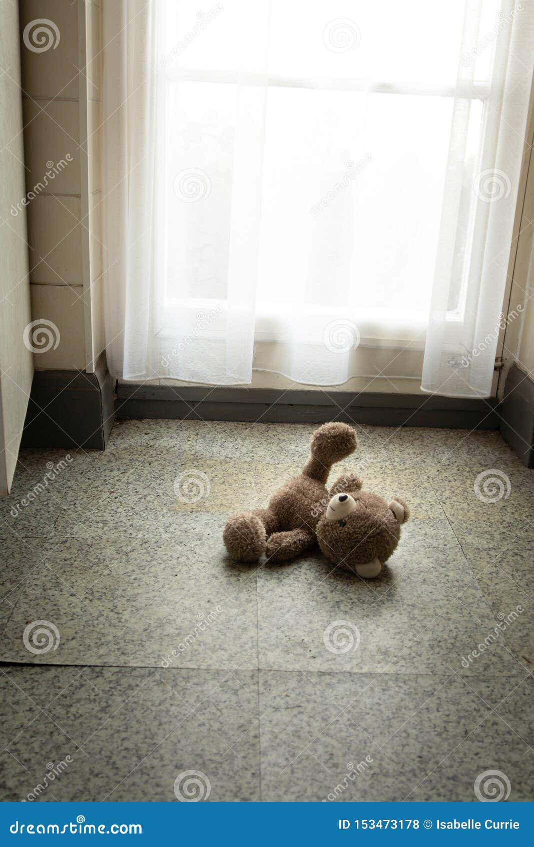 Teddy Bear Left Behind on the Floor in the Kitchen Stock Photo - Image ...