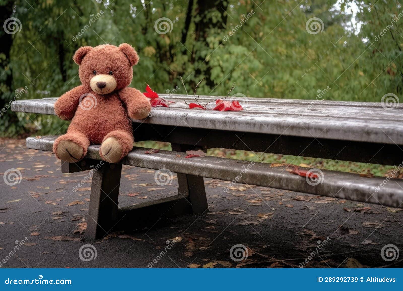 Teddy Bear Left Behind on a Park Picnic Table Stock Image - Image of ...