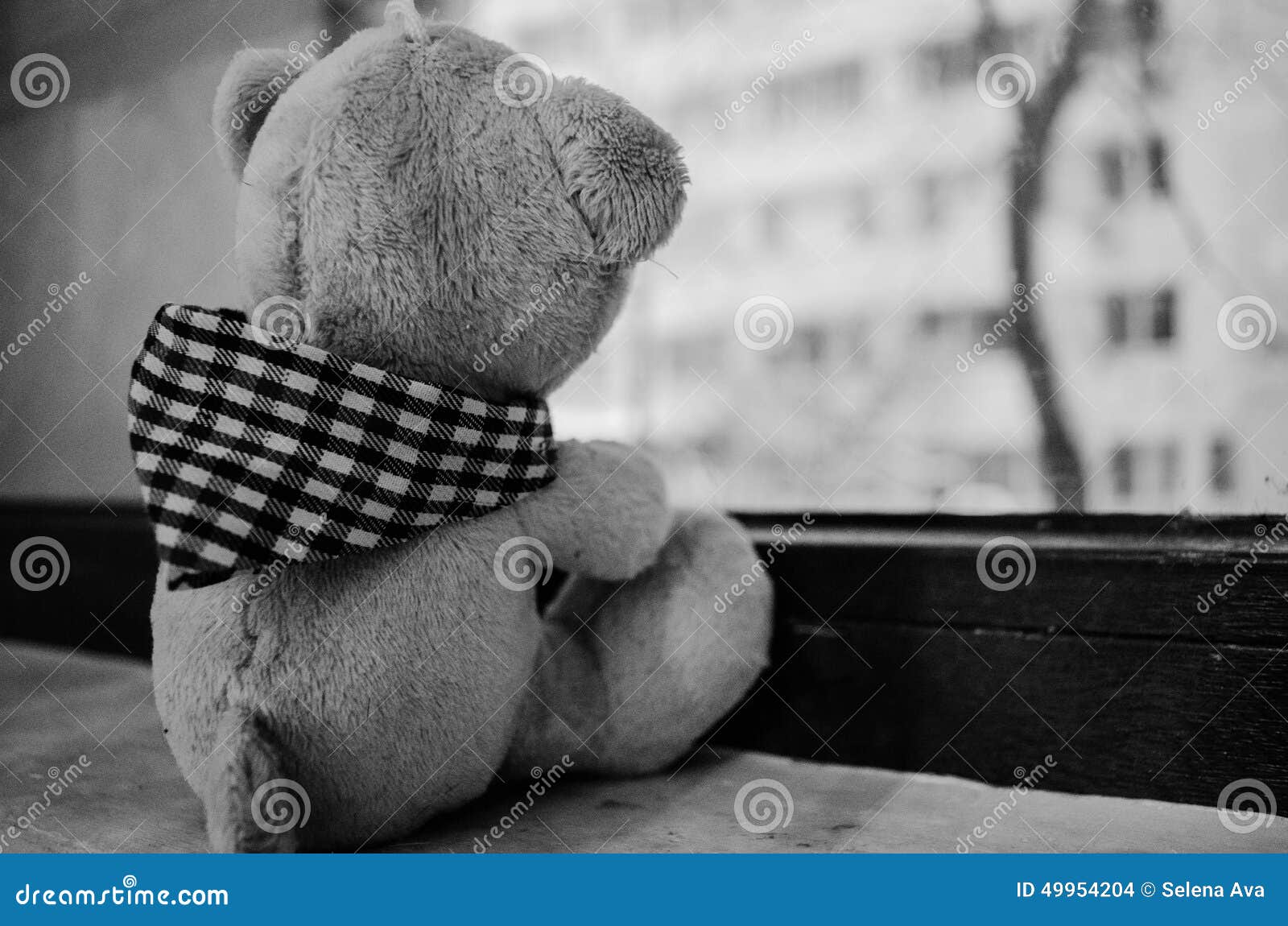 Teddy Bear Looking through the Window Stock Photo - Image of bear, gray ...