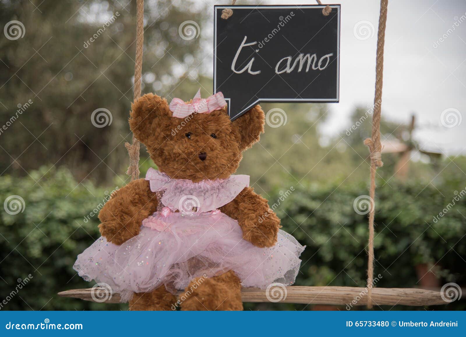 Teddy bear in love stock photo. Image of valentine, lovers - 65733480