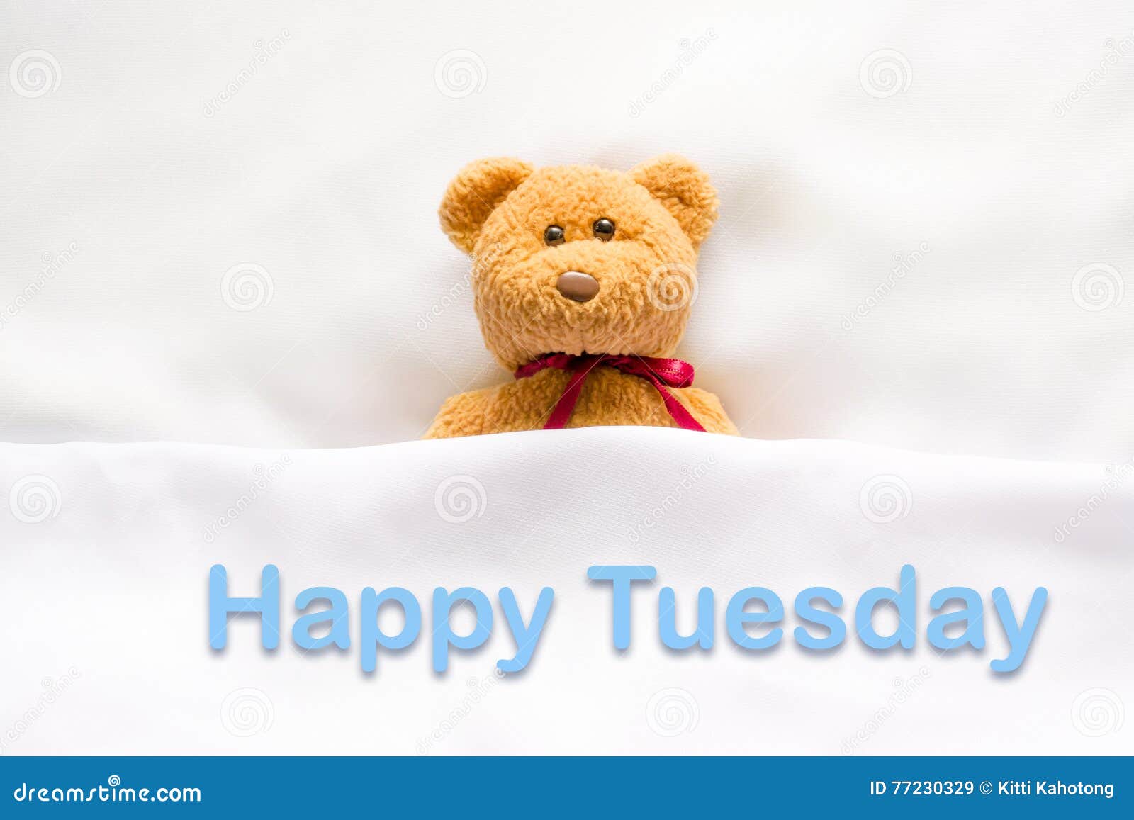 Teddy Bear Lying in the White Bed with Message; Happy Tuesday; Stock ...