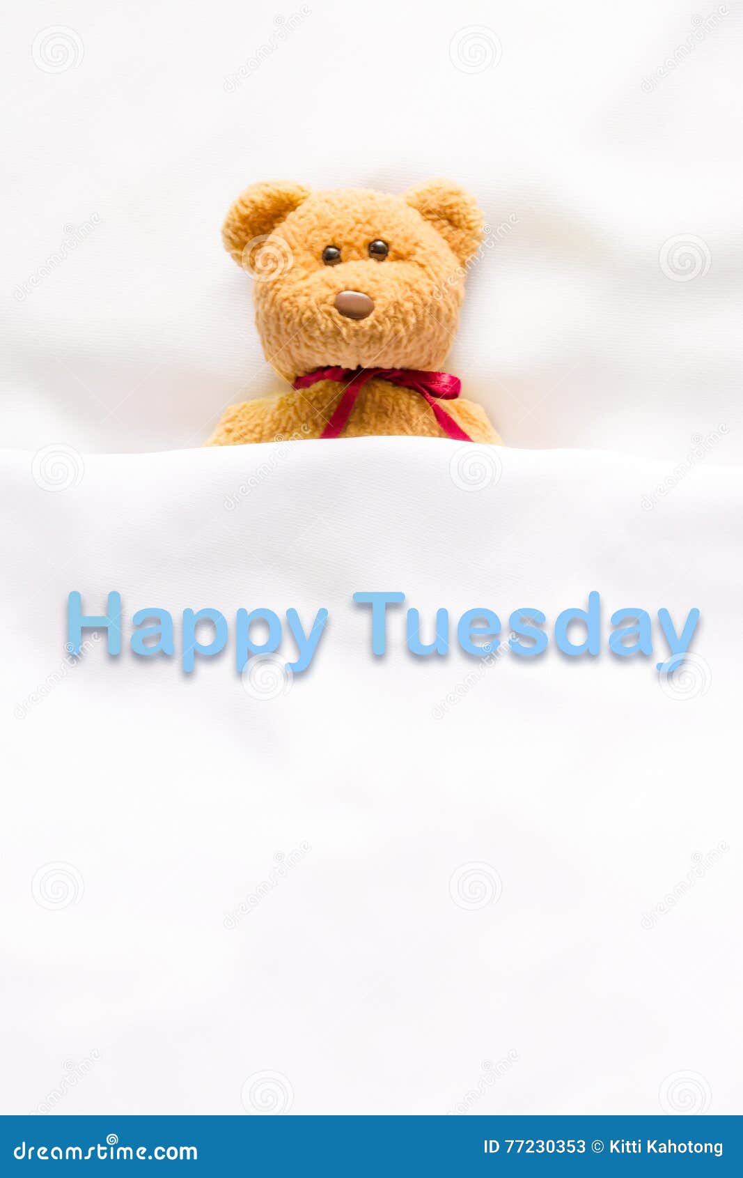 Teddy Bear Lying in the White Bed with Message; Happy Tuesday; Stock ...