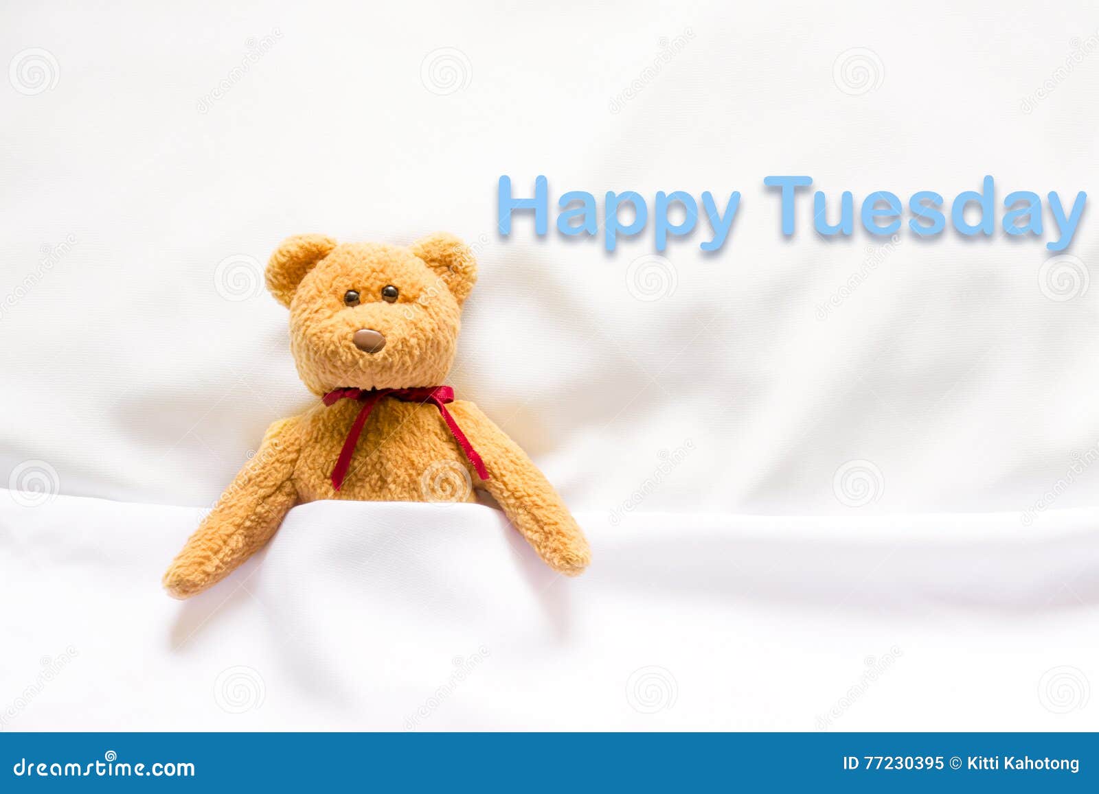 Teddy Bear Lying in the White Bed with Message; Happy Tuesday; Stock ...