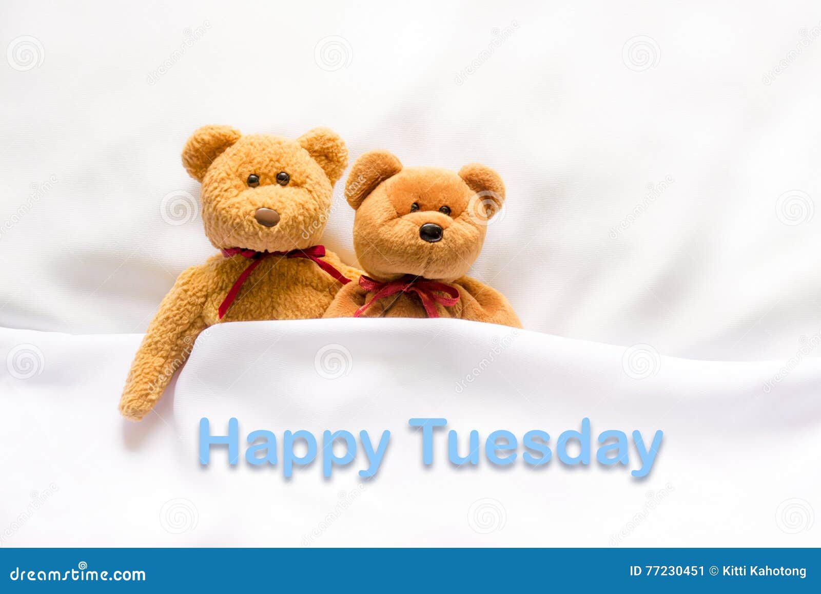 Teddy Bear Lying in the White Bed with Message; Happy Tuesday; Stock ...