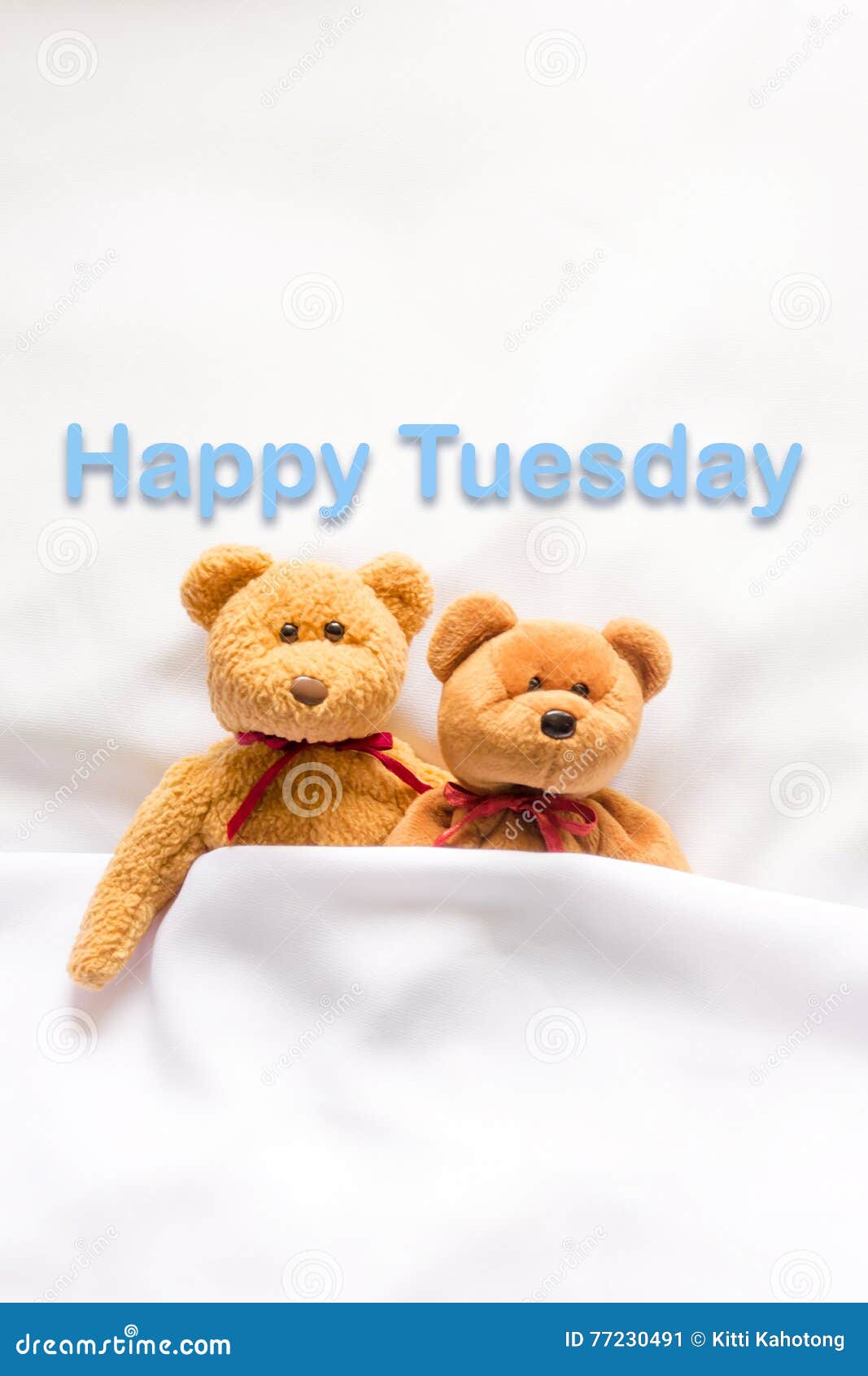 Teddy Bear Lying in the White Bed with Message; Happy Tuesday; Stock ...