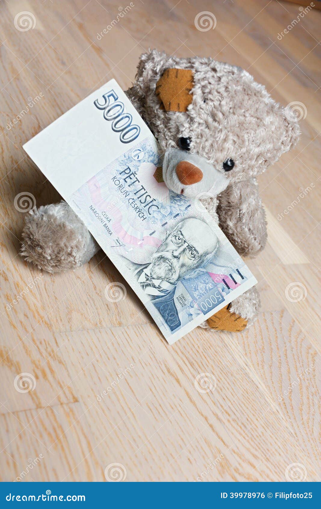 Teddy bear and money stock photo. Image of allowance - 39978976