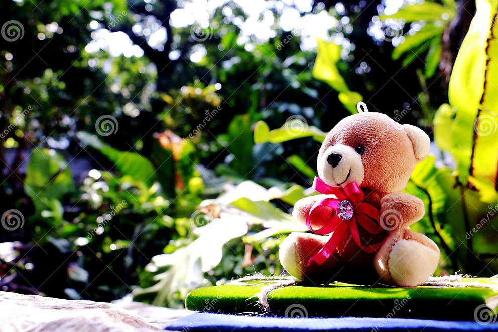 Teddy bear notebook stock photo. Image of environment - 93270000