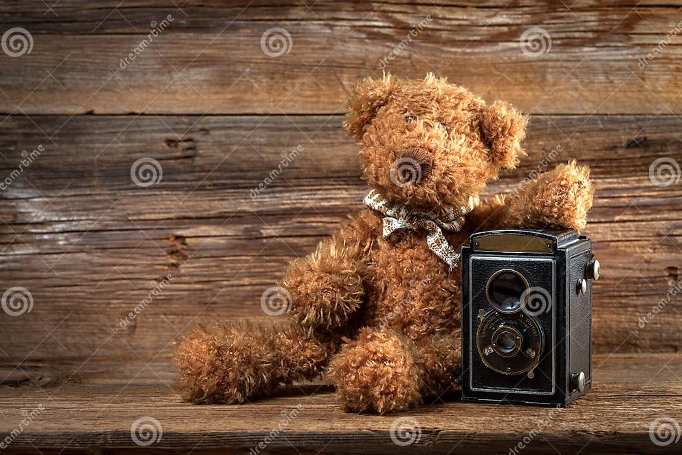 Teddy bear. stock photo. Image of wooden, sitting, soft - 51204650
