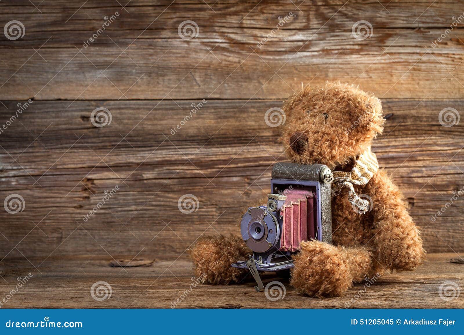 Teddy bear. stock image. Image of brown, sitting, cuddly - 51205045