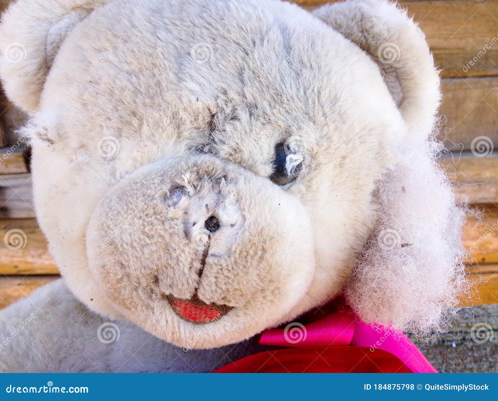 Teddy Bear Old and Ripped Beat Up Looking Stock Photo - Image of front ...