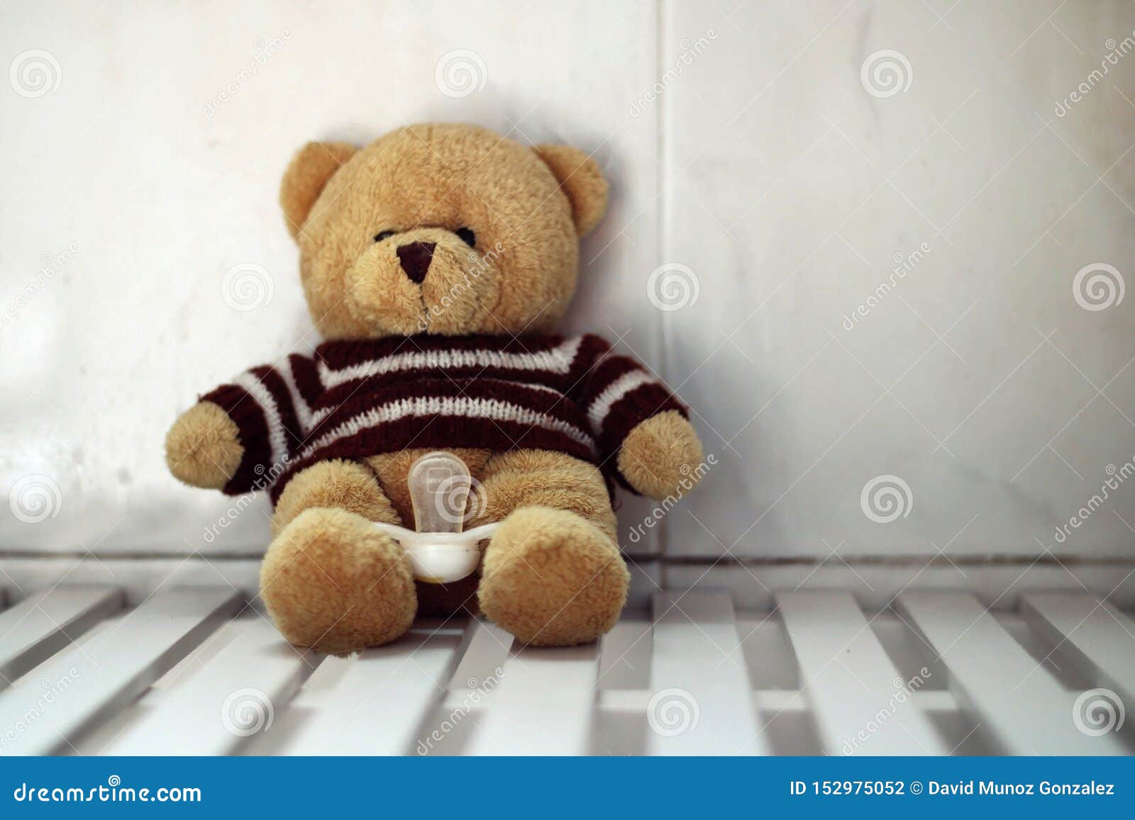 Teddy Bear with a Pacifier on it. Stock Photo - Image of small, sitting ...