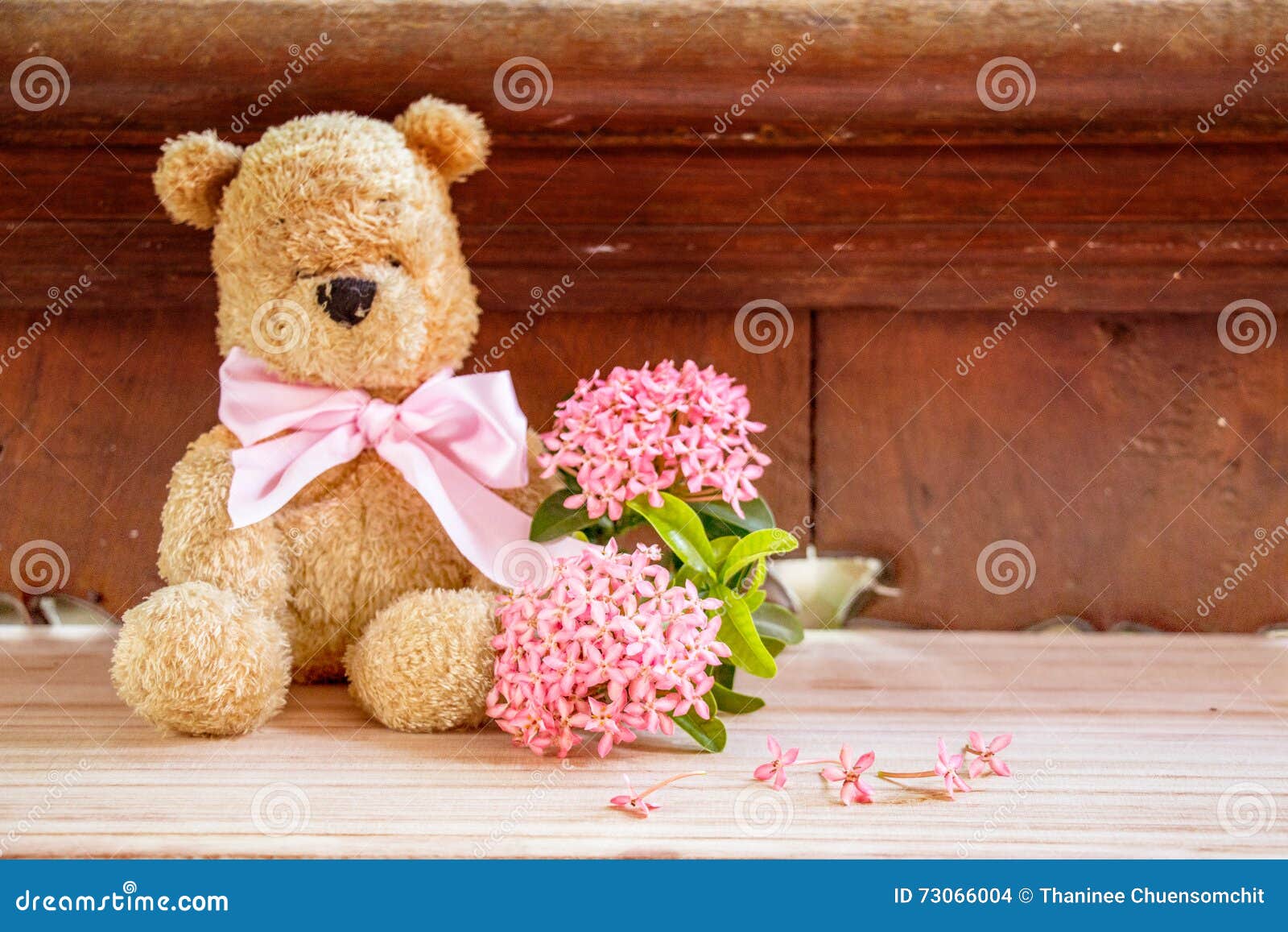 Teddy Bear with Pink Flower with Soft Effect Stock Photo - Image of ...