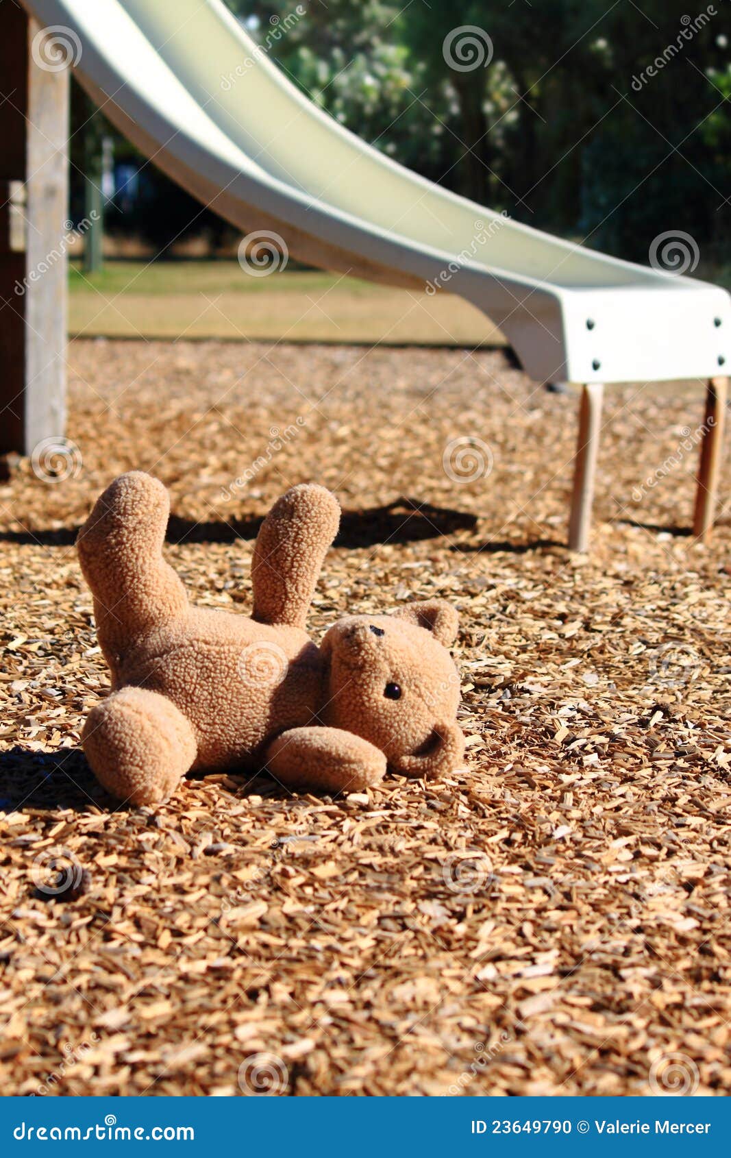 Teddy bear in a playground stock photo. Image of play - 23649790