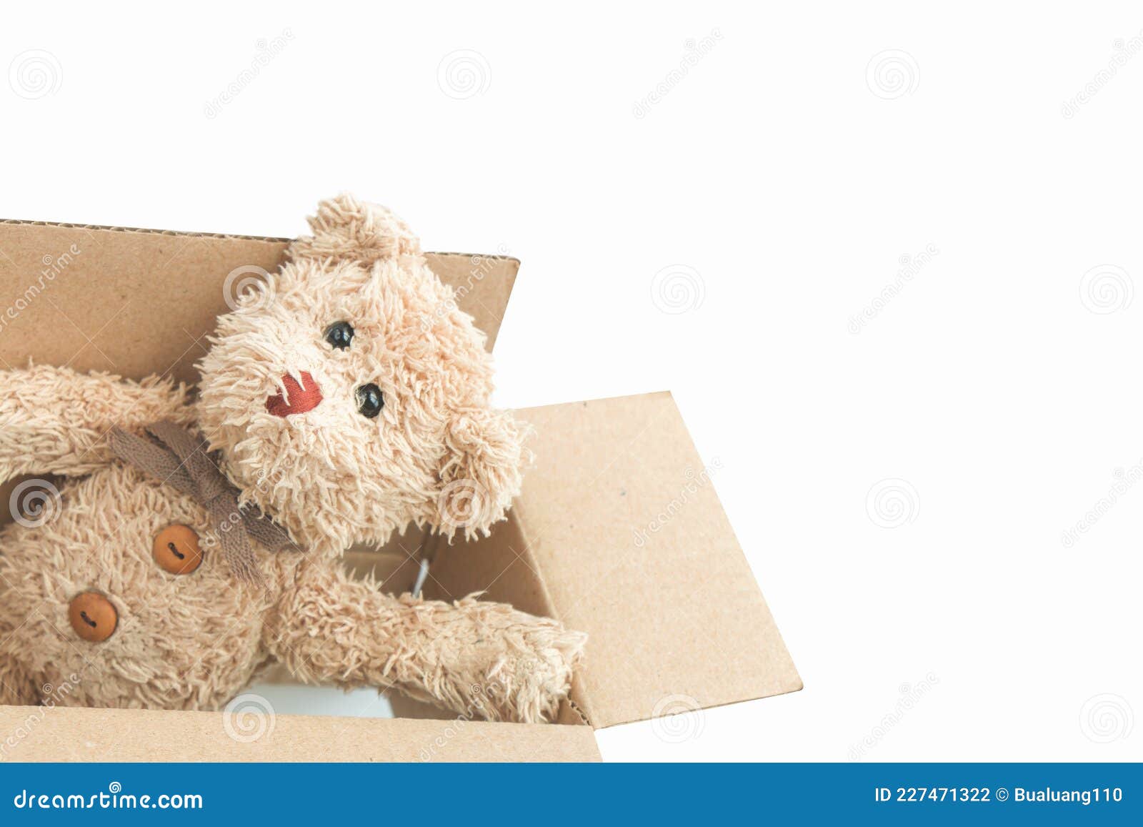 Teddy Bear is Playing Cardboard Box Stock Photo - Image of happy, bear ...