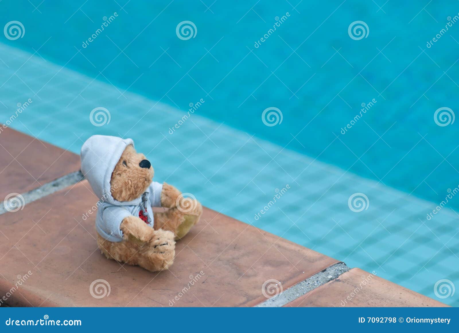 Teddy bear by the pool stock photo. Image of pool, hood - 7092798