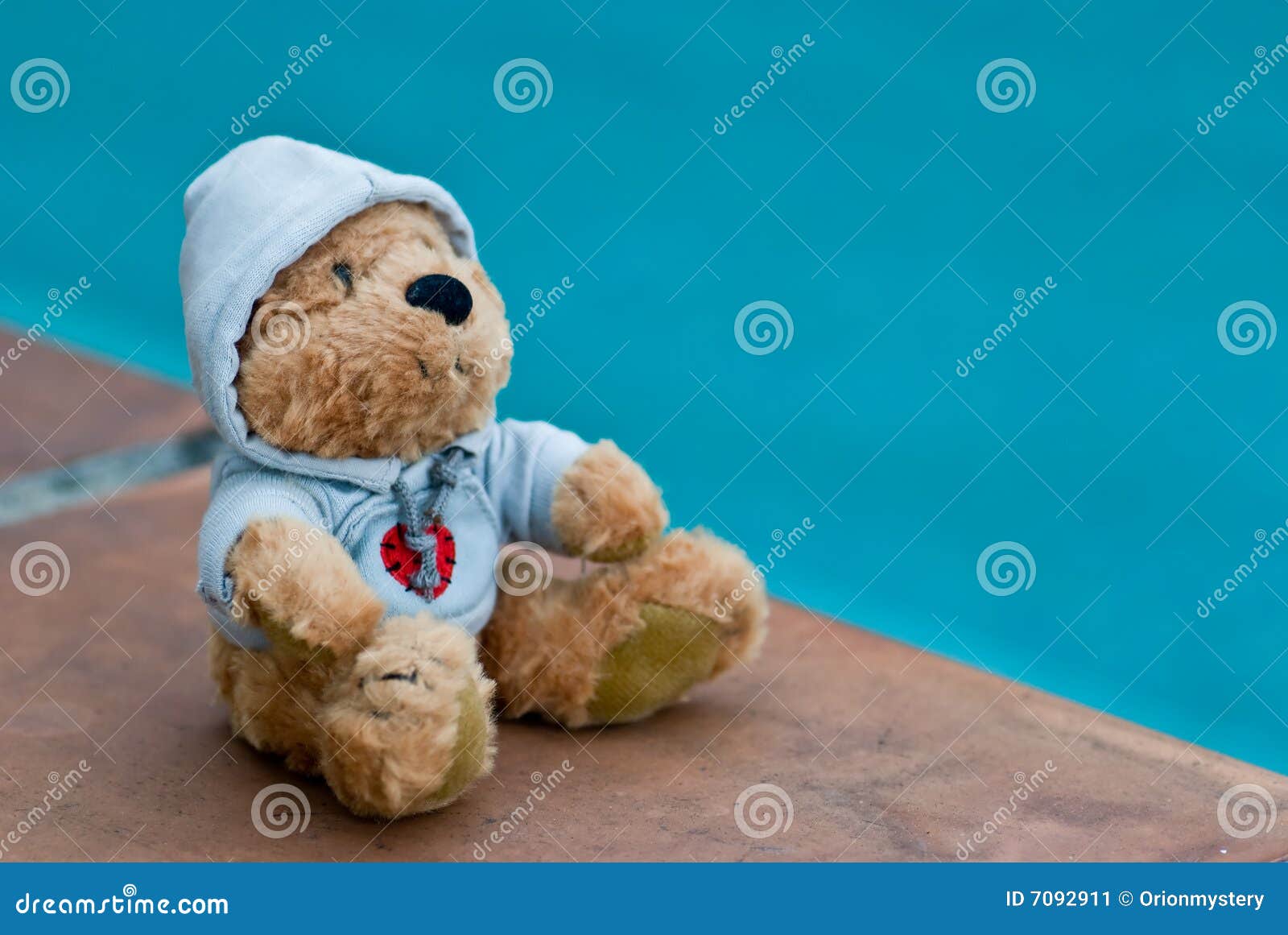 Teddy bear by the pool stock image. Image of bear, water - 7092911