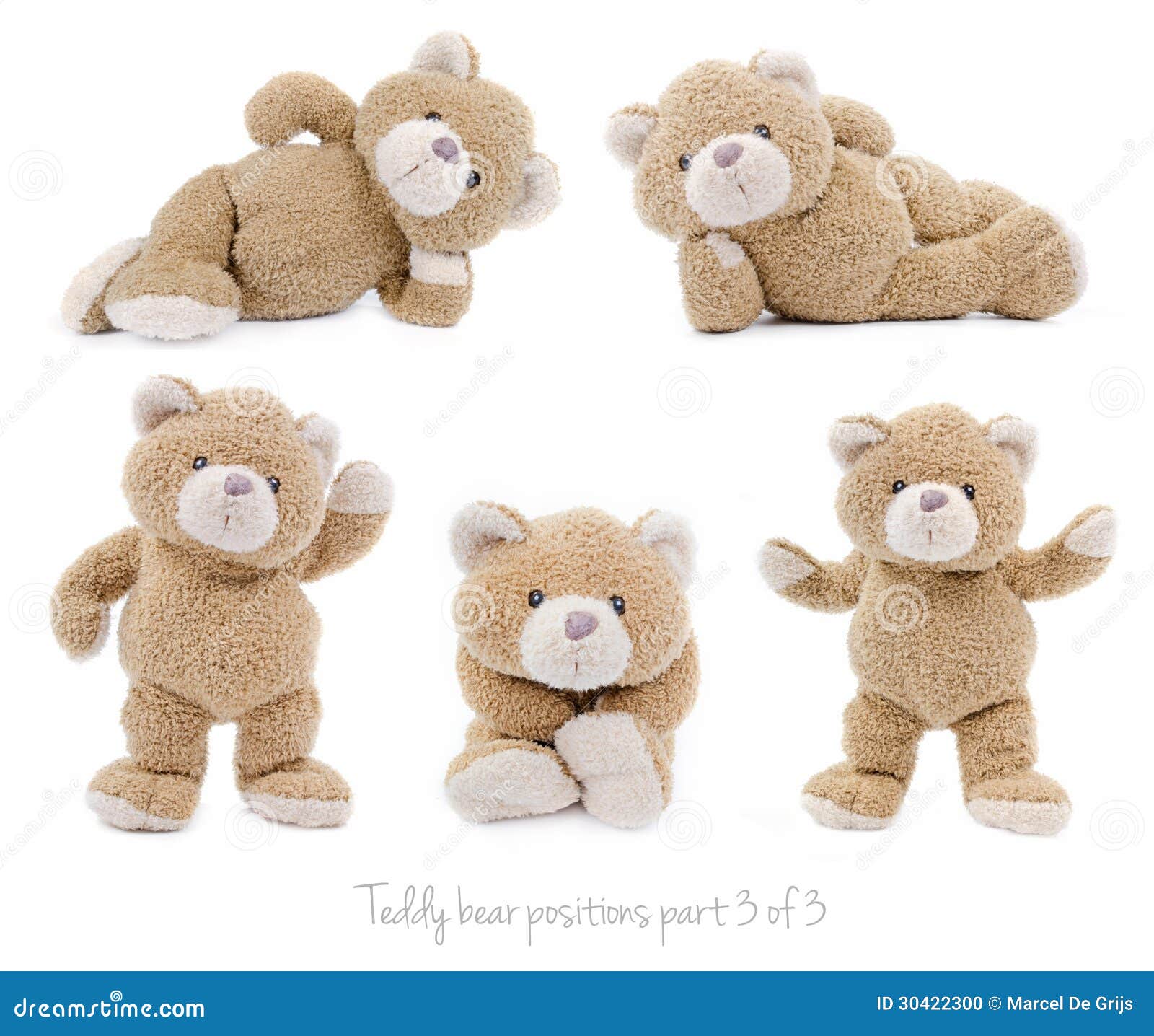 Teddy Bear Positions Stock Photography | CartoonDealer.com #30422300