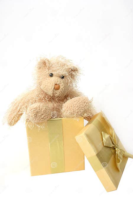 Teddy Bear Present stock image. Image of bear, stuffed - 374529