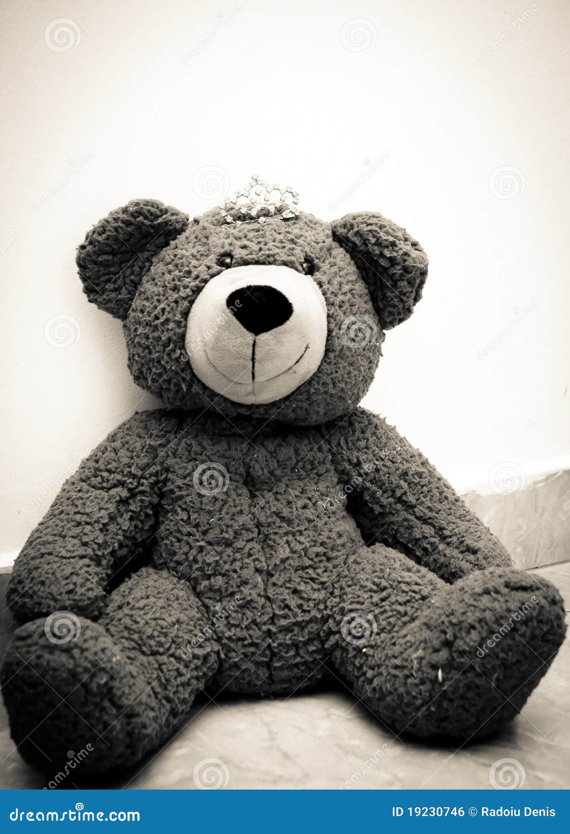 Teddy Bear Princess stock photo. Image of play, teddybear - 19230746