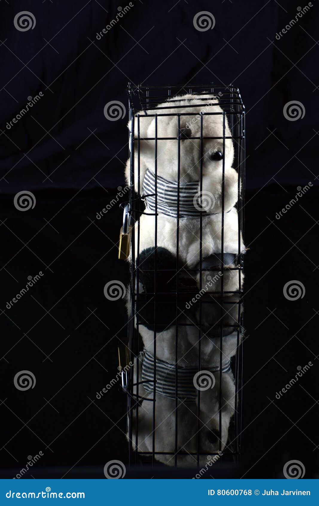 Teddy Bear in a Prison Cell Stock Photo - Image of hostage, concept ...