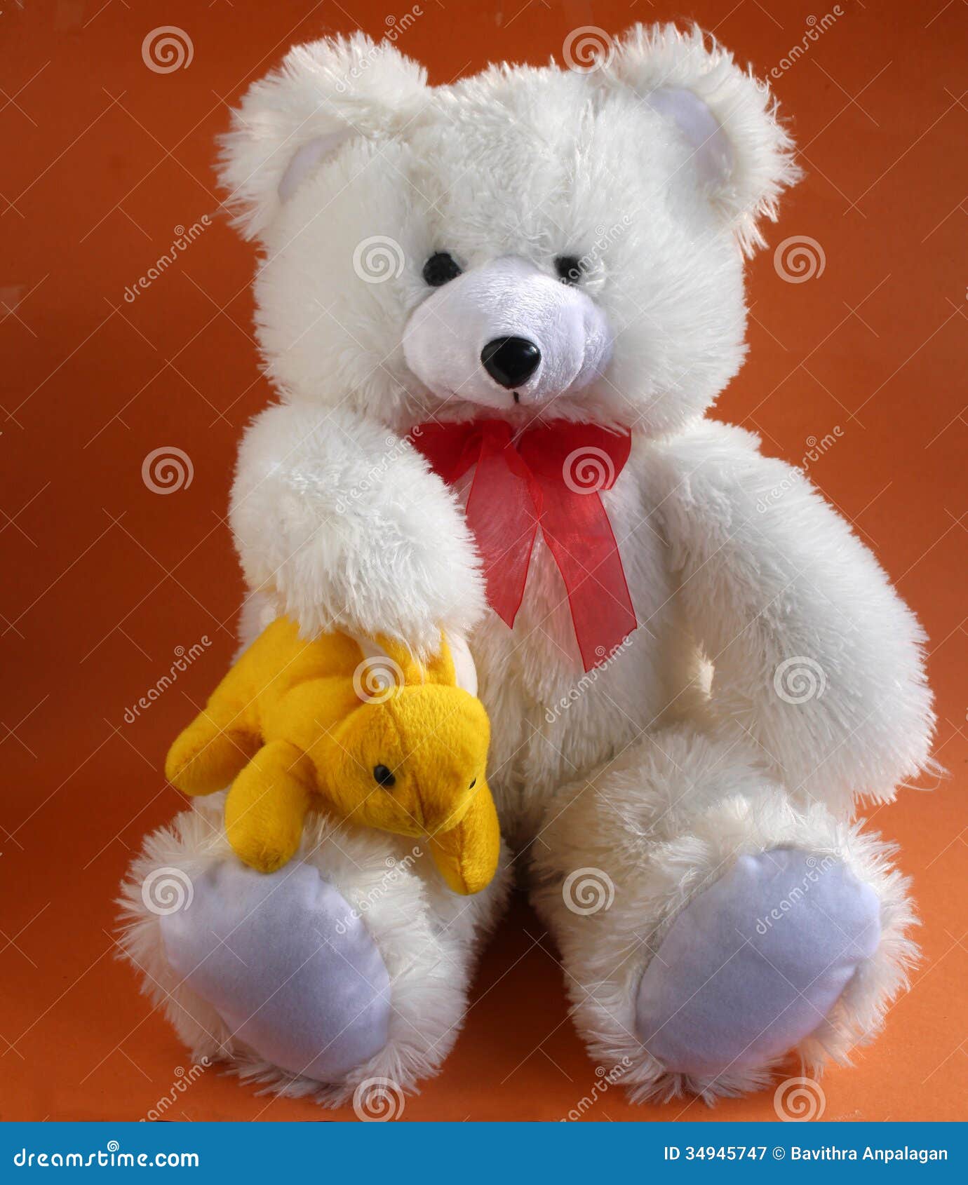 Teddy bear and Rabbit stock image. Image of animal, couple - 34945747