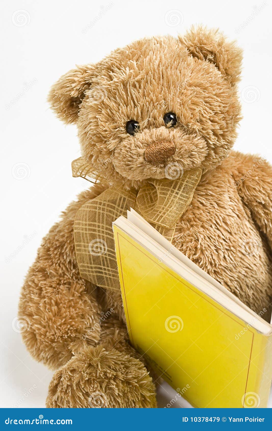 Teddy bear reading stock image. Image of furry, learning - 10378479