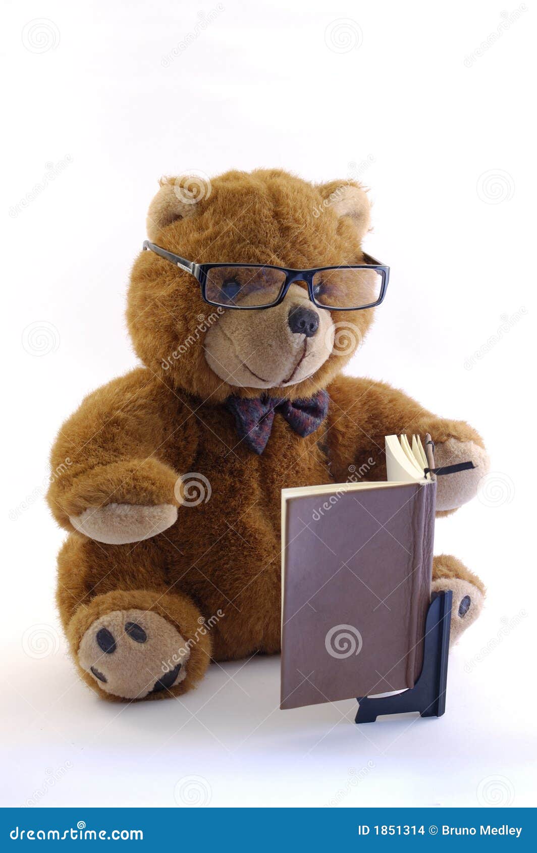 Teddy bear reading stock photo. Image of white, love, working - 1851314