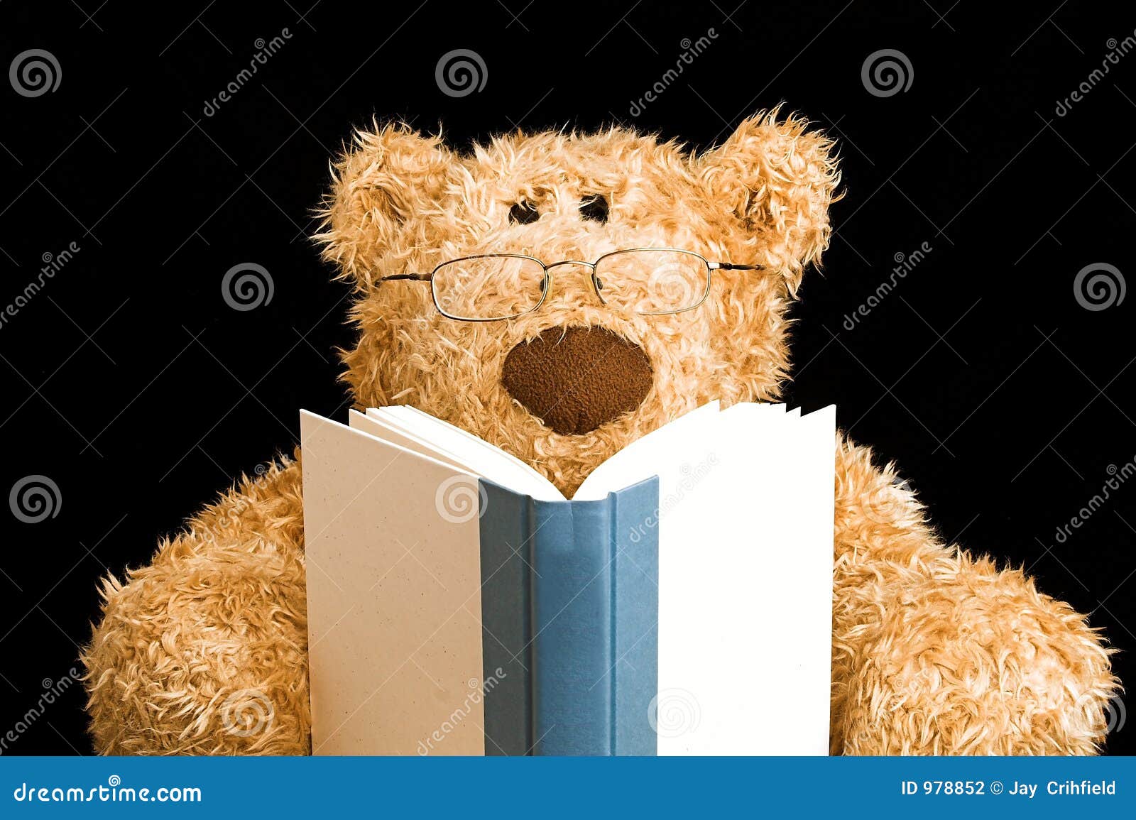 Teddy bear reading stock photo. Image of bedtime, life - 978852