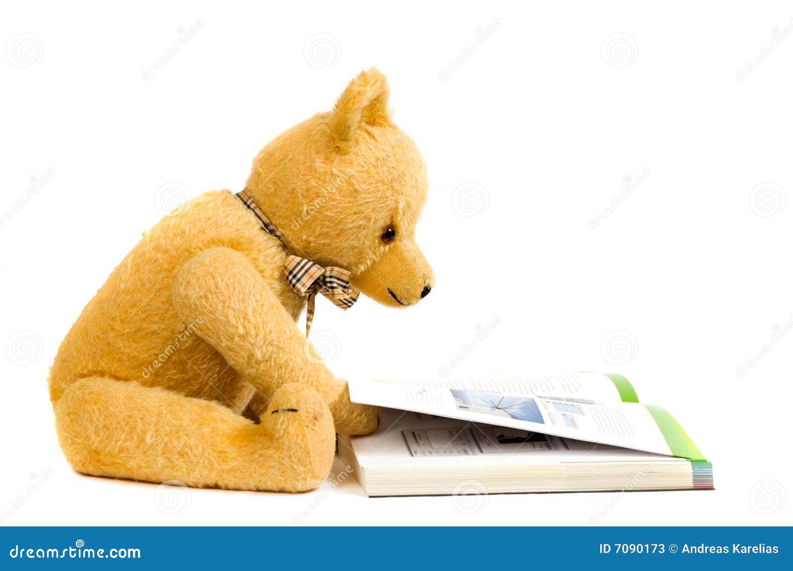 Teddy bear reading a book stock image. Image of information - 7090173
