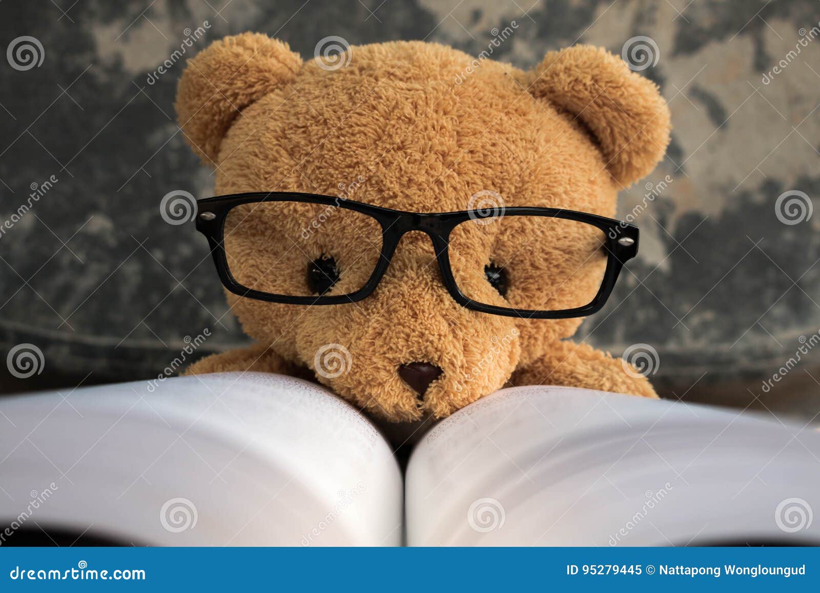 Teddy Bear is Reading a Book. Stock Image - Image of read, copy: 95279445
