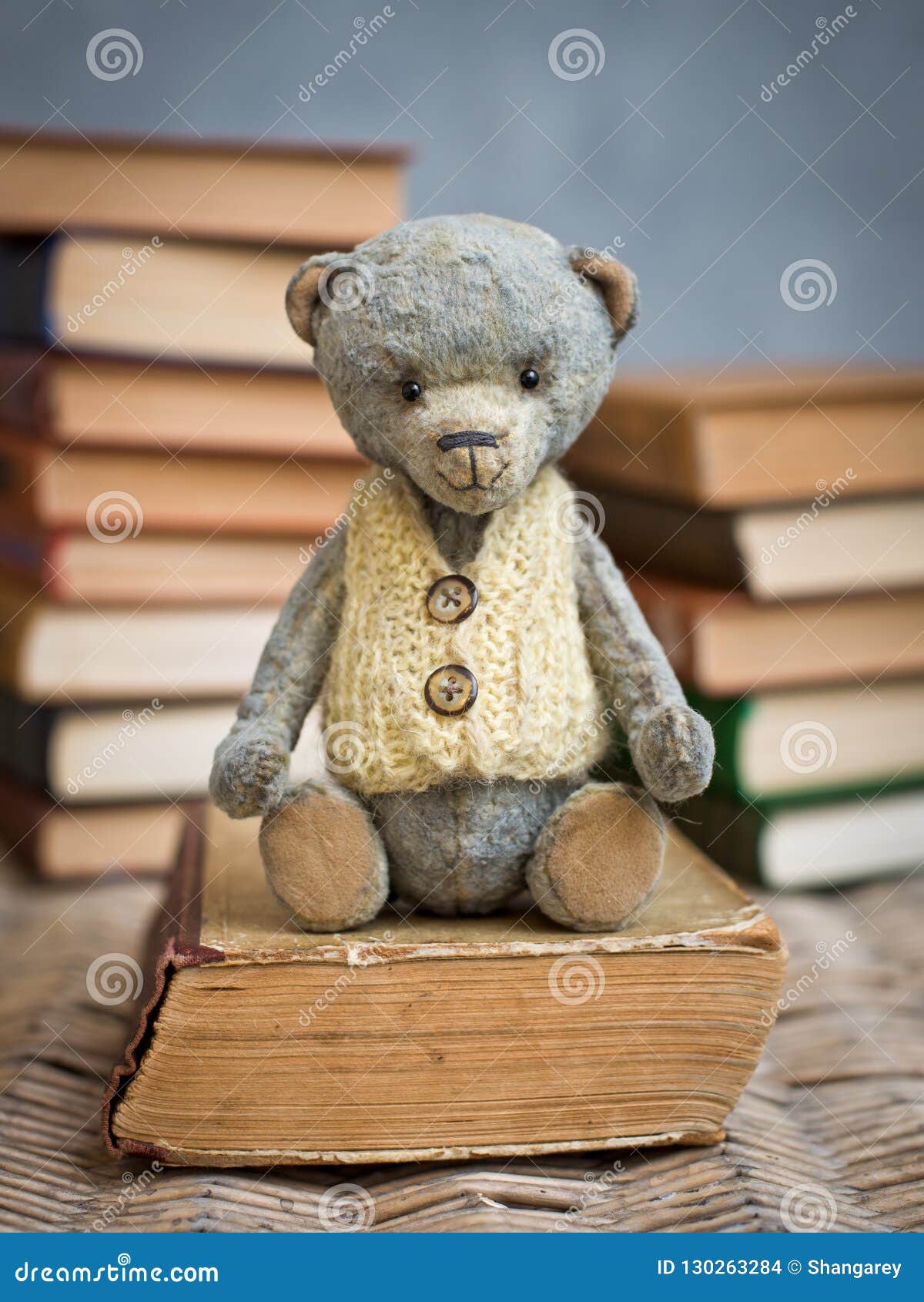 Teddy Bear Teddy Reading Book in the Library Stock Photo - Image of ...