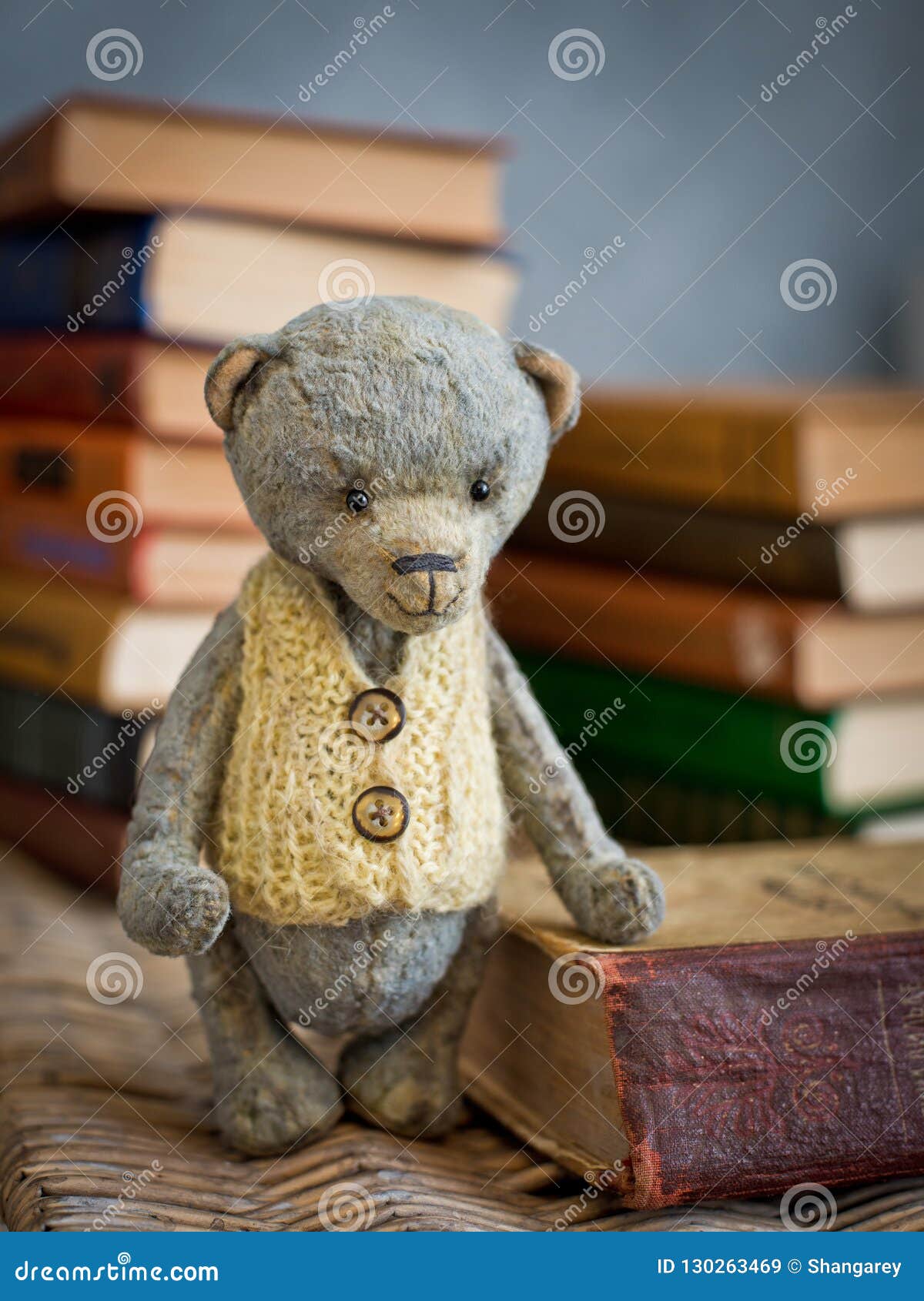 Teddy Bear Teddy Reading Book in the Library Stock Image - Image of ...