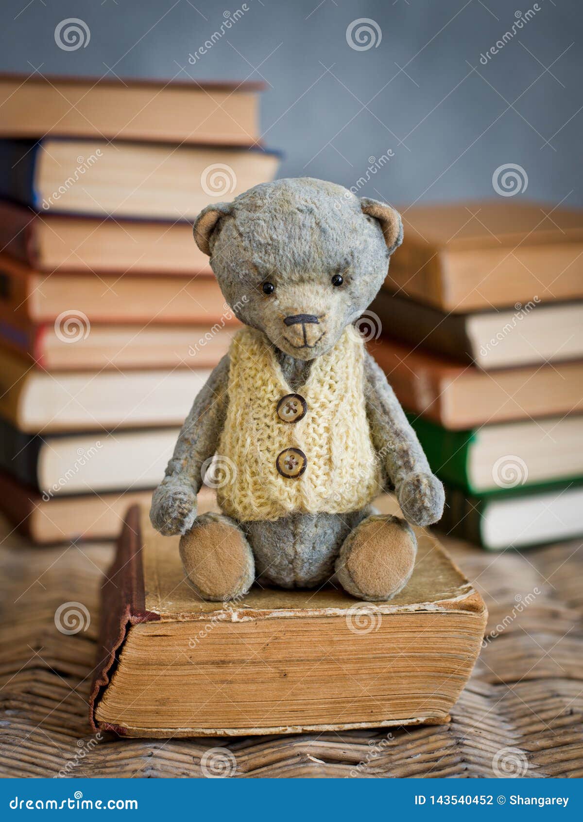Teddy Bear Teddy Reading Book in the Library Stock Photo - Image of ...