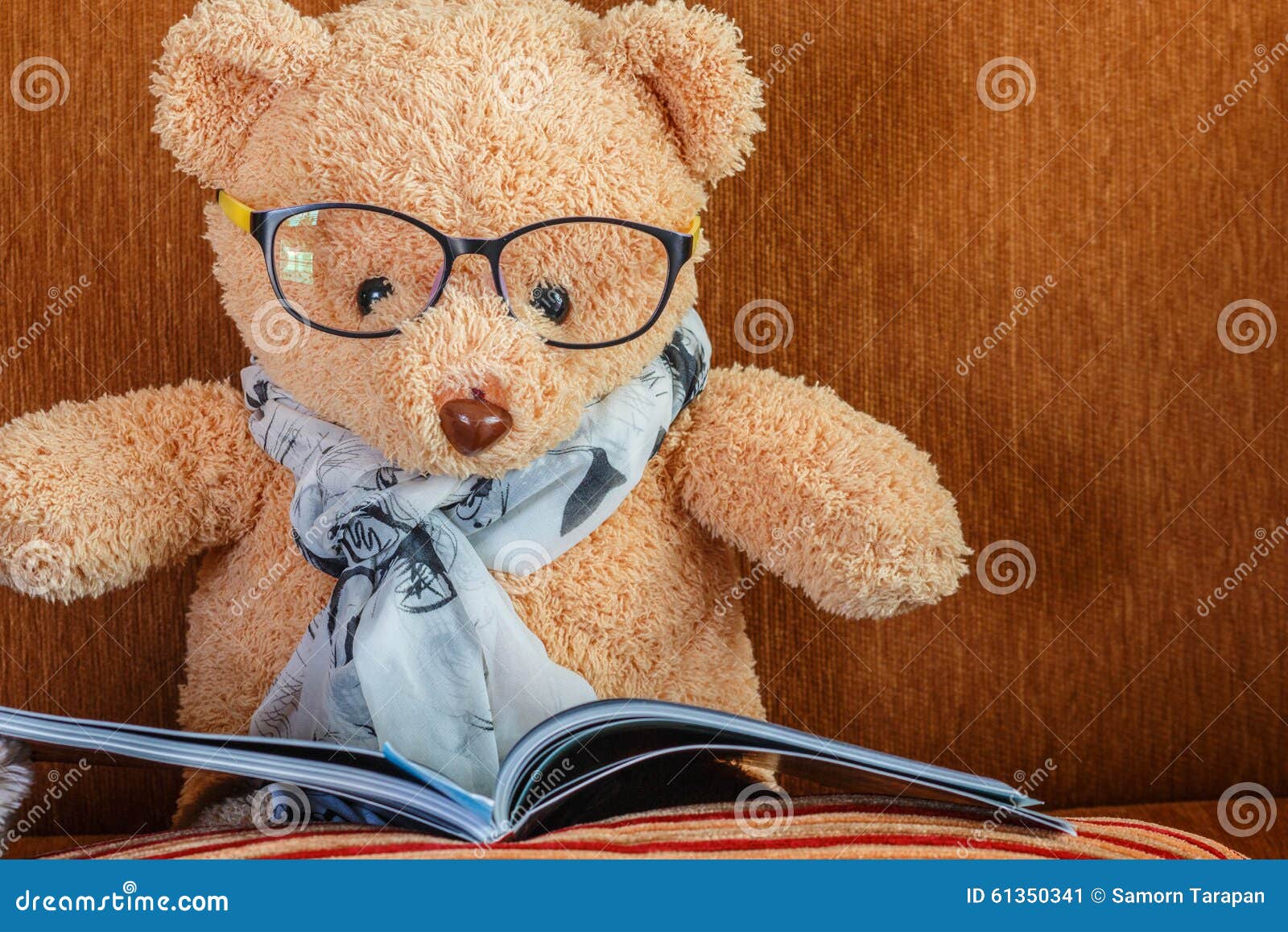 Teddy bear is reading stock image. Image of reading, plush - 61350341