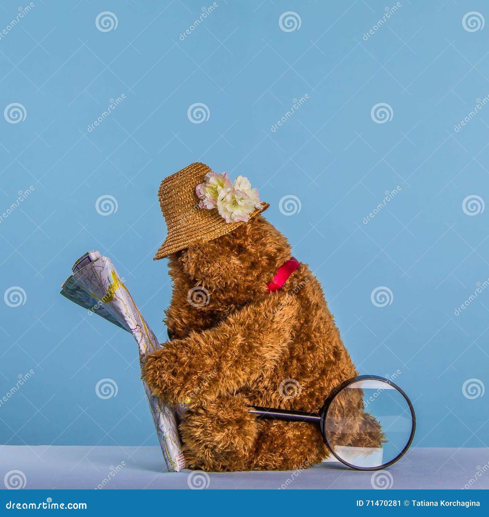 Teddy bear reading map stock image. Image of guide, geographic - 71470281