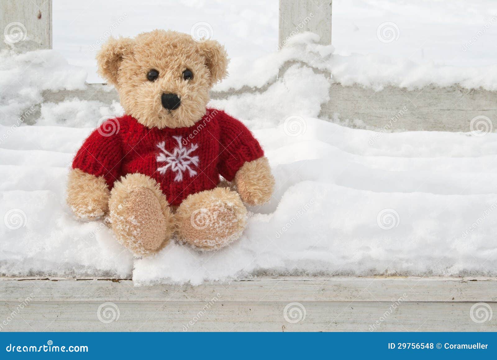 Teddy bear stock photo. Image of small, childhood, wool - 29756548