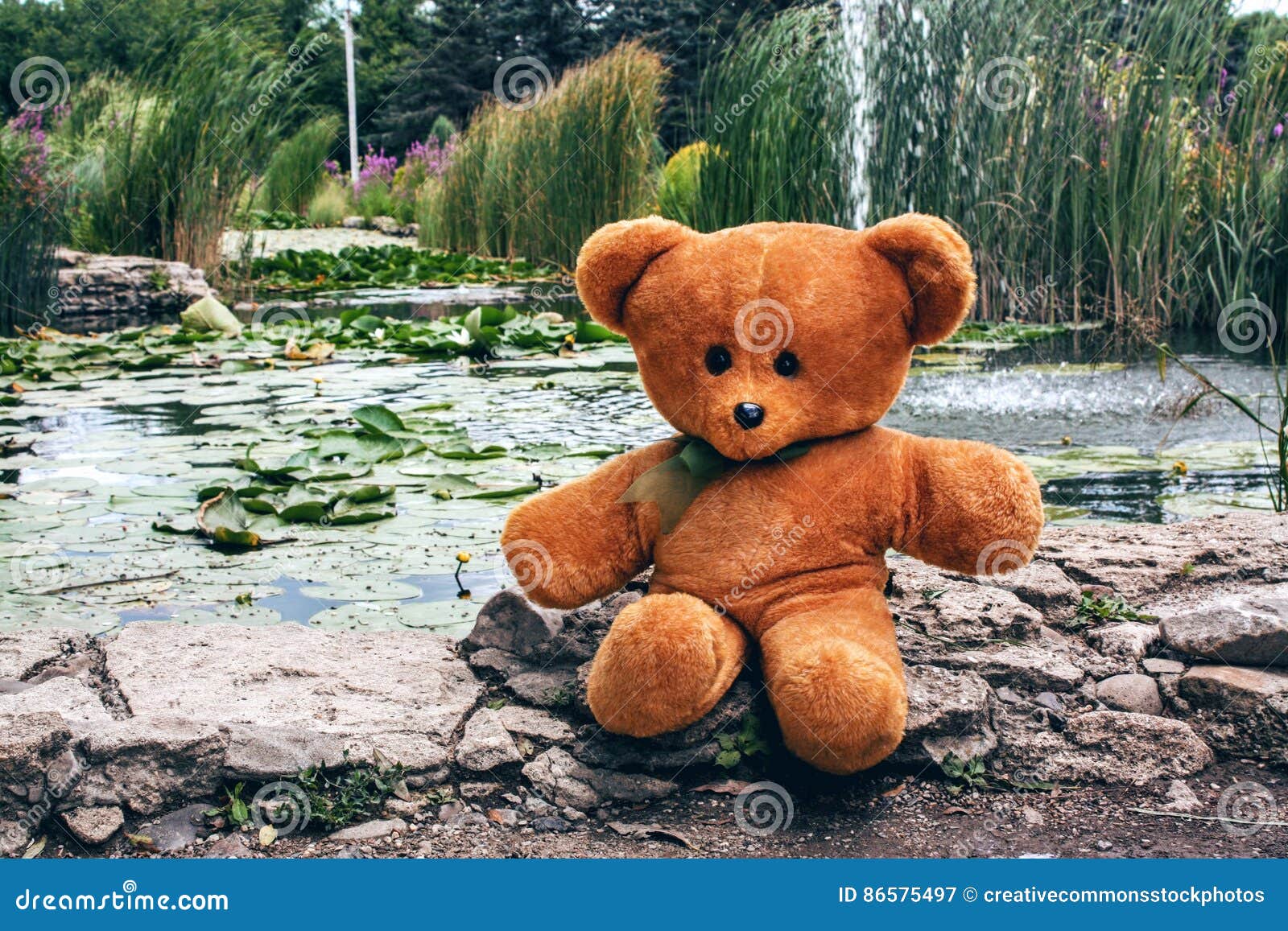 Teddy Bear On Rock By Pond Picture. Image: 86575497