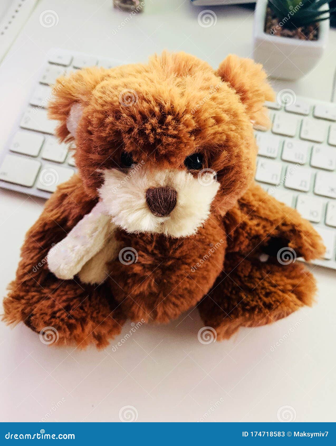 Teddy Bear Sits on a Desk Near the Keyboard Stock Image - Image of ...