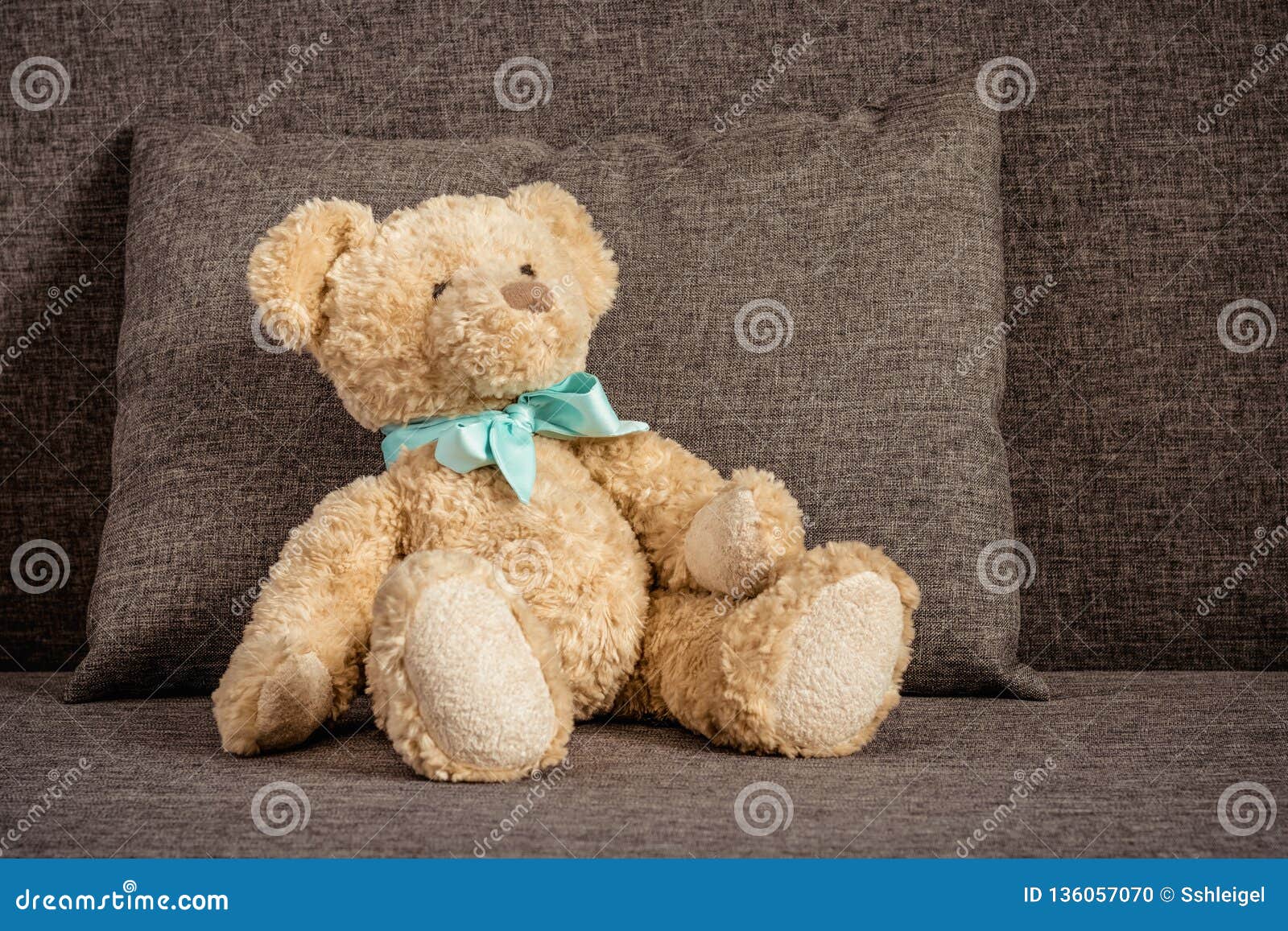 Teddy Bear Sitting on the Couch Next To a Sofa Cushion Stock Photo ...