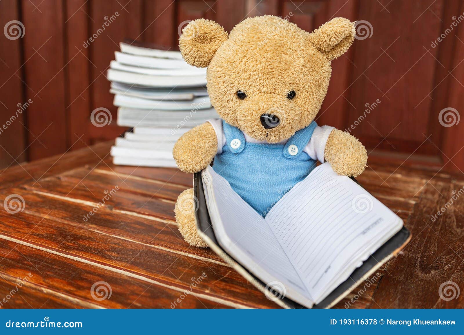 The Teddy Bear is Sitting Reading a Book Reading Concepts Stock Photo ...